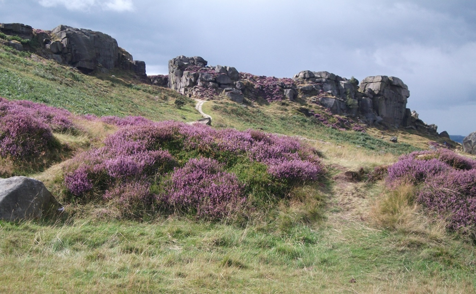 Poetry Showcase: Stephen Kingsnorth – Fevers of the Mind