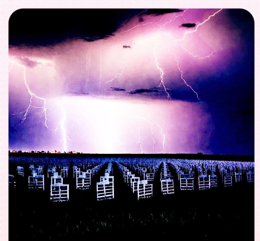 A Poetry Showcase for Stephen Watt – Fevers of the Mind